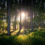 Together We Build - BME